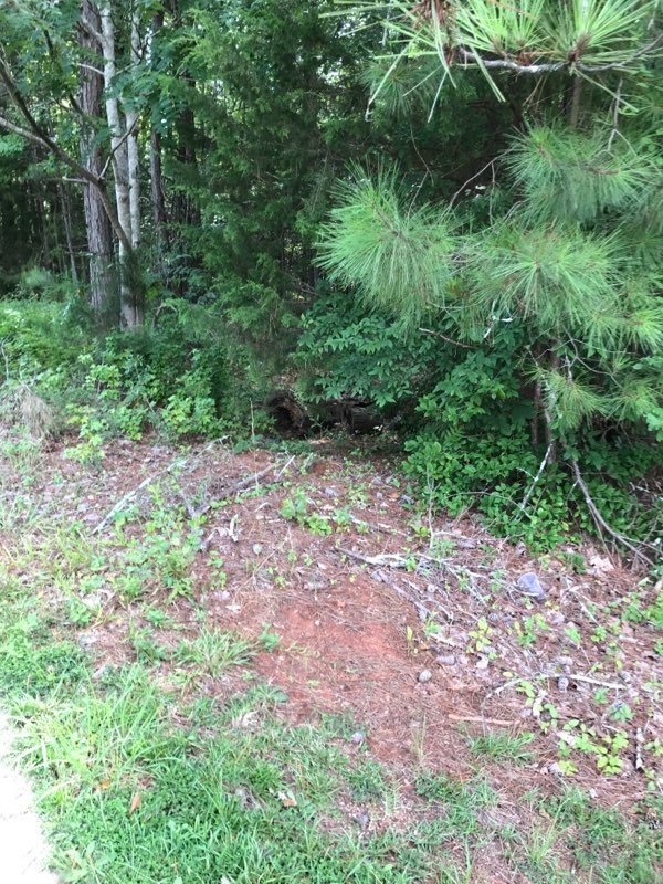 .33 Acre Building Lot In Established Subdivision