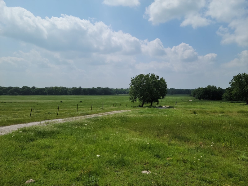 124.5 Acre Ranch