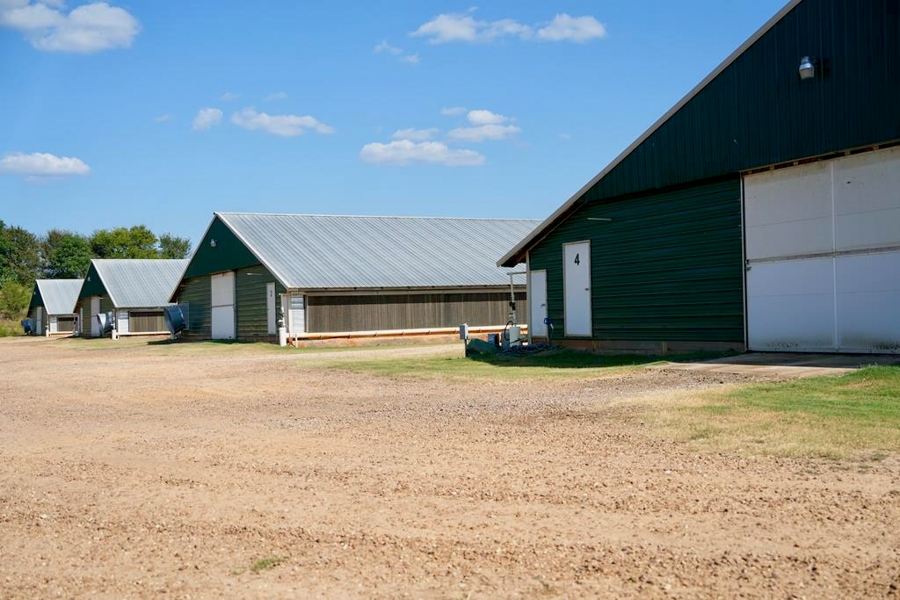 MS Poultry Farm Broiler Farm with Residence and 54 Acres