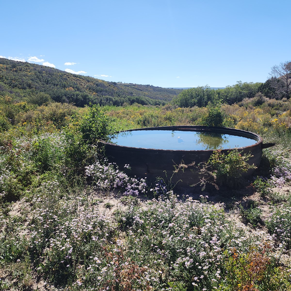 40 Acres in Cathedral Peak Ranch - Crawford, Colorado