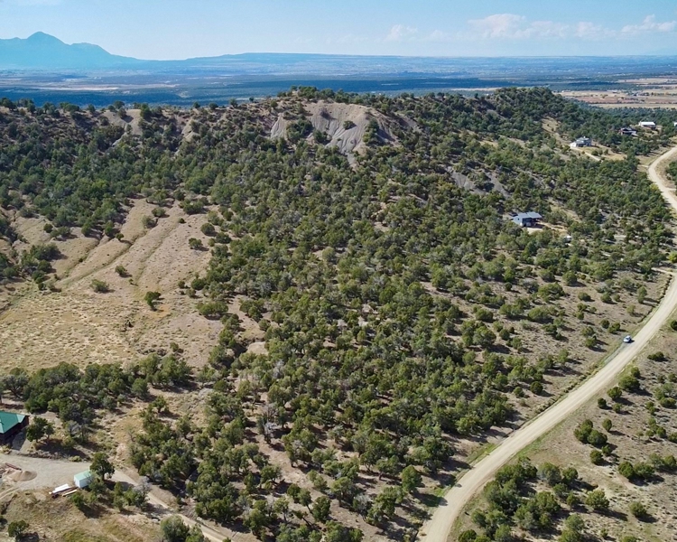 Land with Stunning Views and Wooded Seclusion