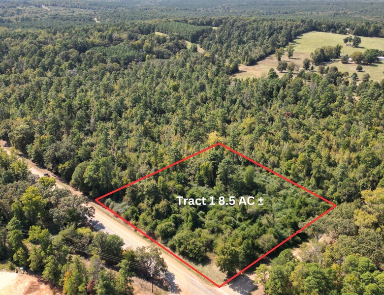 Land For Sale In Cass County Bivins, Texas