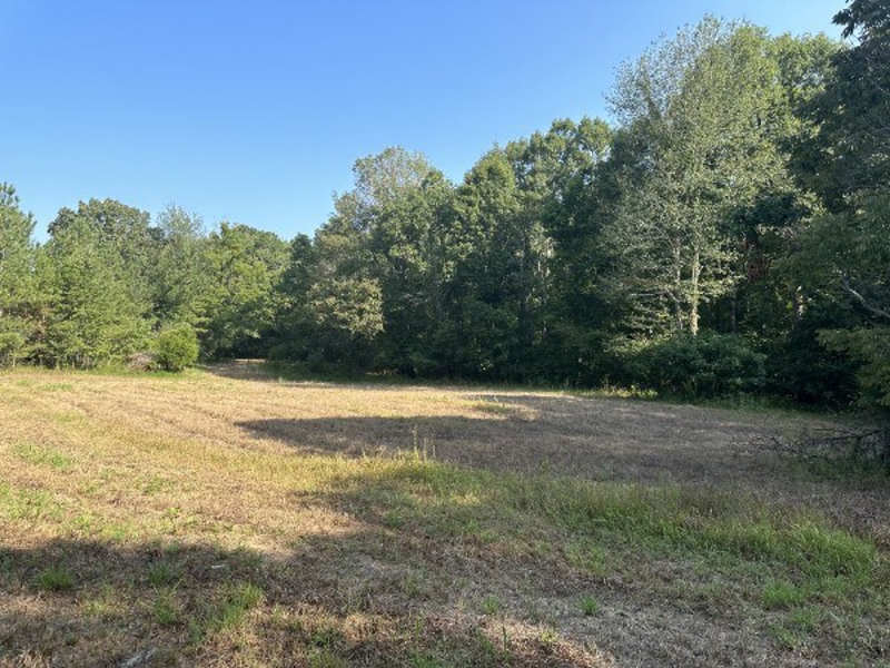 7.5+/- Unrestricted Acres in Wayne County, TN