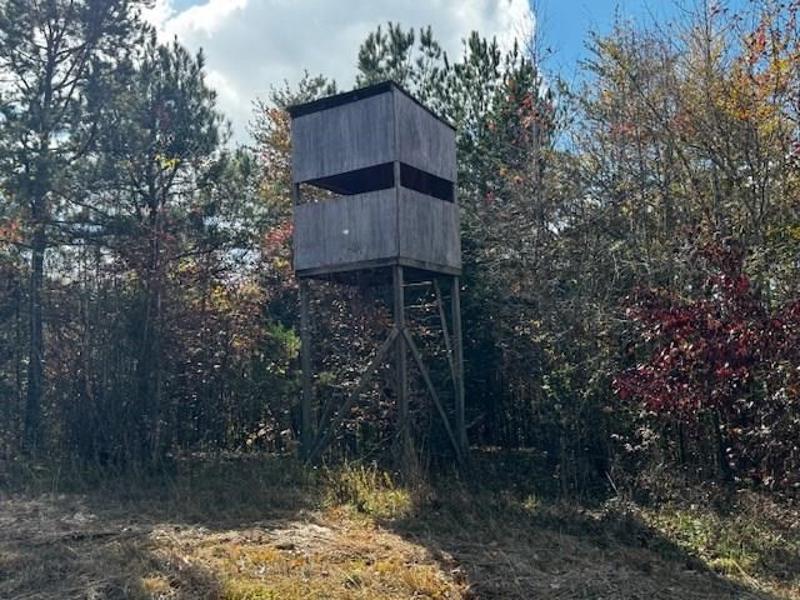100+ Acres of Prime Hunting Land with Scenic Creek Views