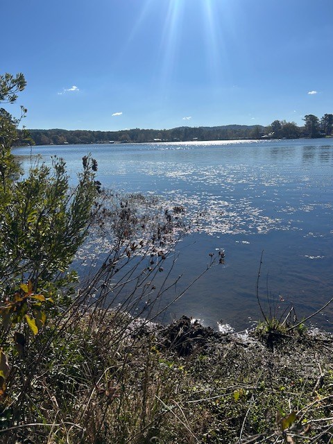 Large Lay Lake Waterfront Lots