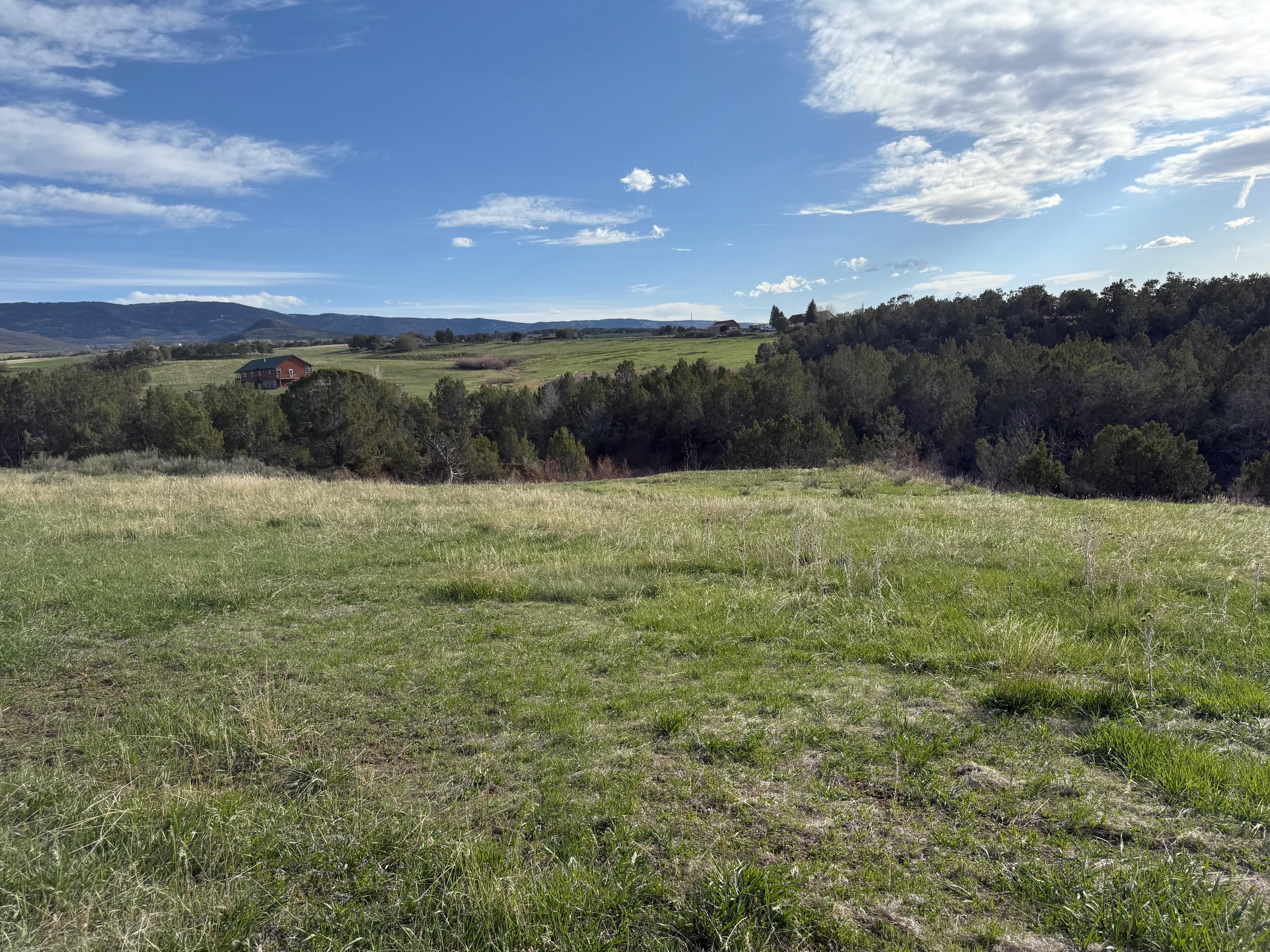 Building Lot For Sale in Western Colorado