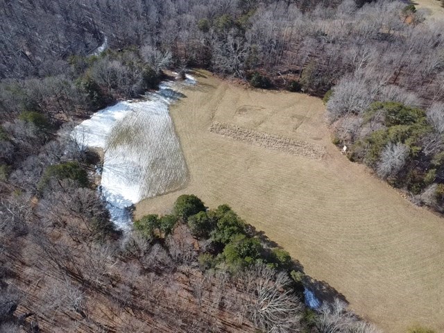 Hidden Treasure on Banister Road, VA
