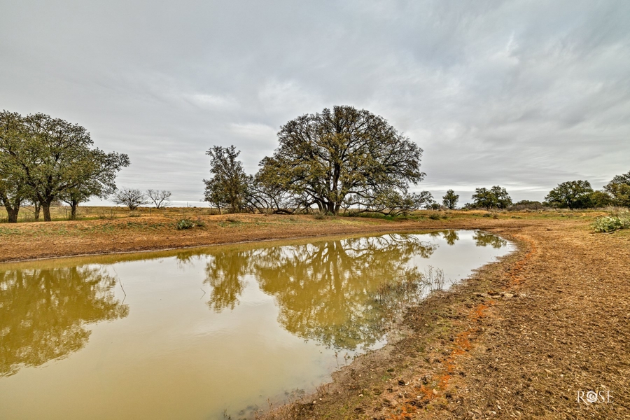 Premier High-Fenced Ranch in Coke County, Texas