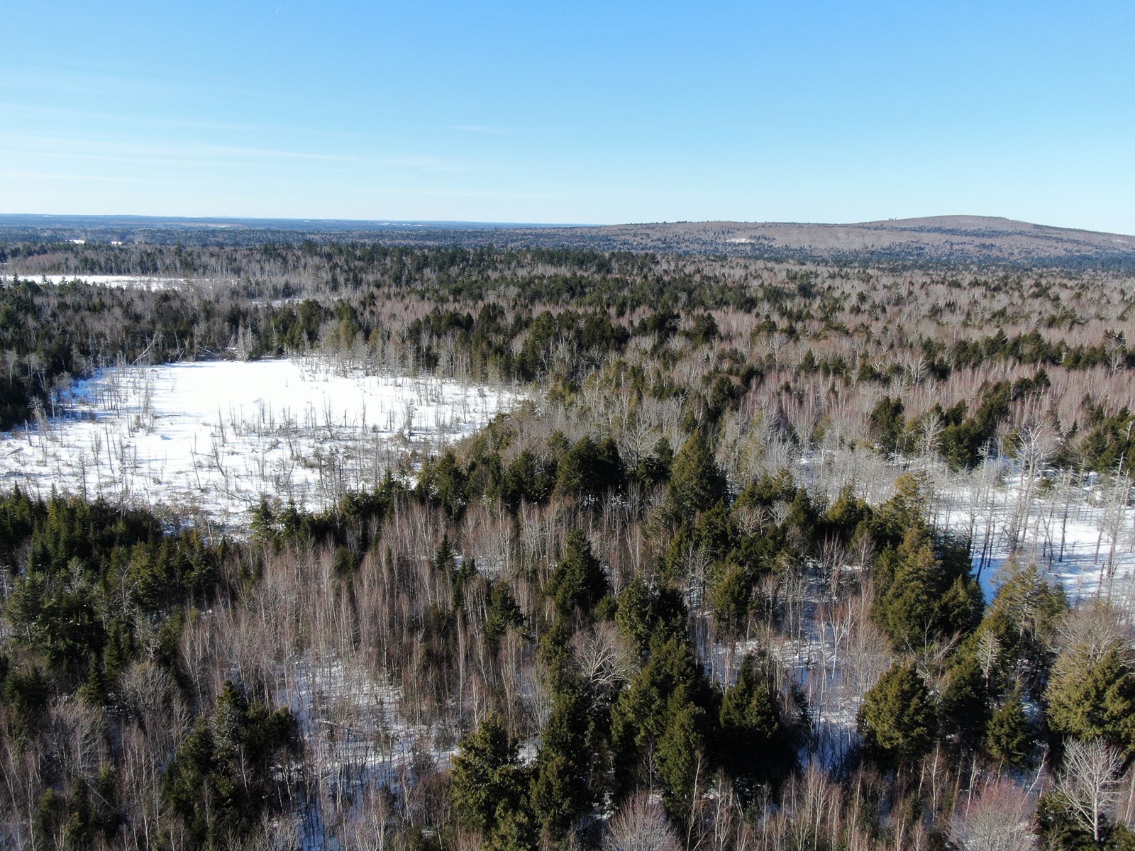 Maine Timberland Lot for Sale