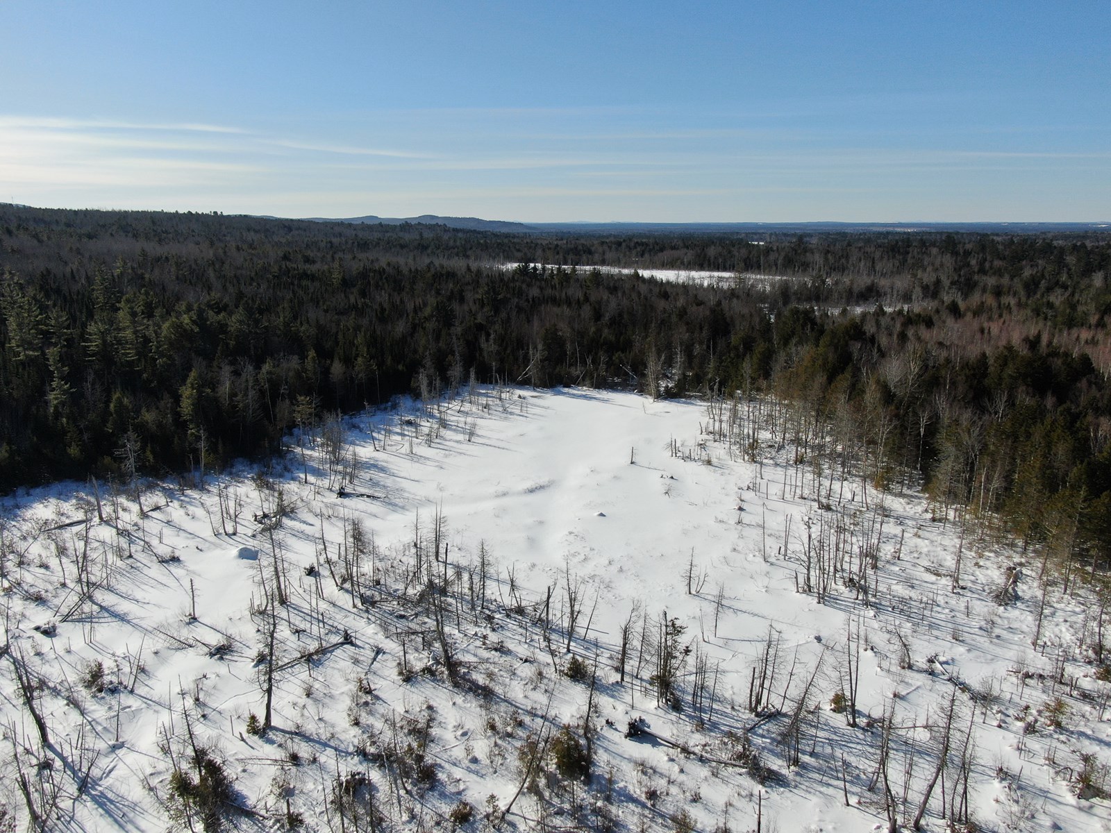 Maine Timberland Lot for Sale