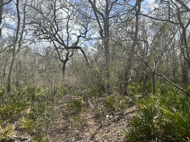 Vacant lot for sale near the Suwannee River, no deed restrictions and no HOA!