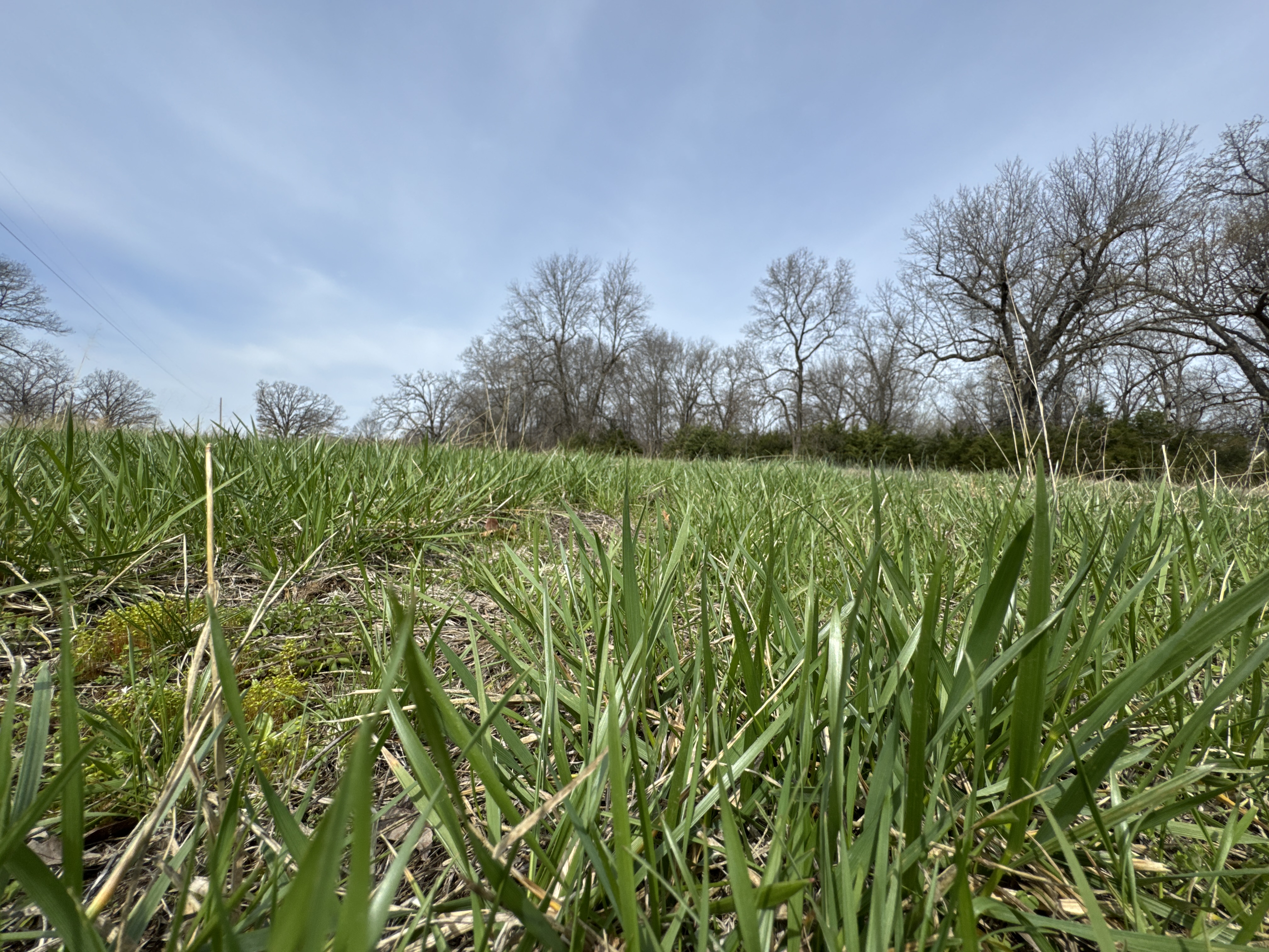 10 Acre Building Tract For Sale Near Stockton Missouri