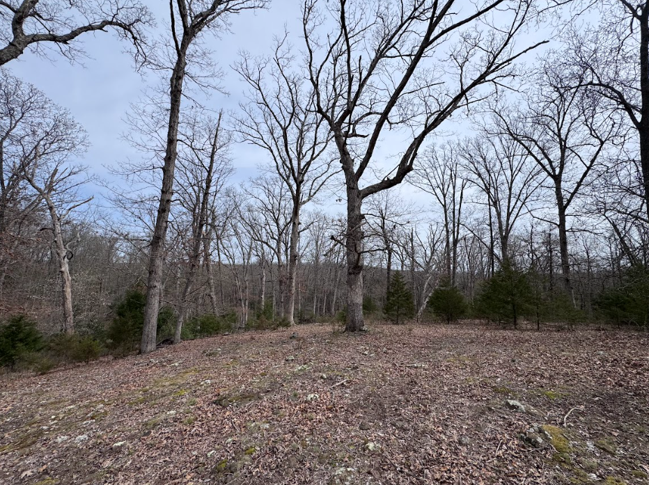 10 Acre Building Tract For Sale Near Stockton Missouri