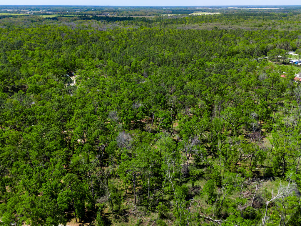 1.75 Acre Residential in Live Oak!