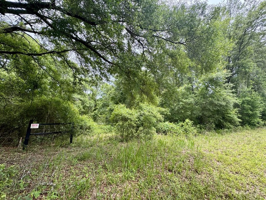 10 ACRES OF HUNTING LAND in Gilchrist County!
