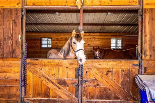 Summit Lake Home FOR SALE by Mindi Clark and Allison Klein