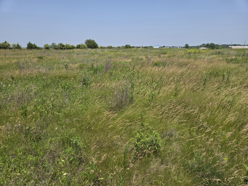 CRP Land with Recreational Opportunities