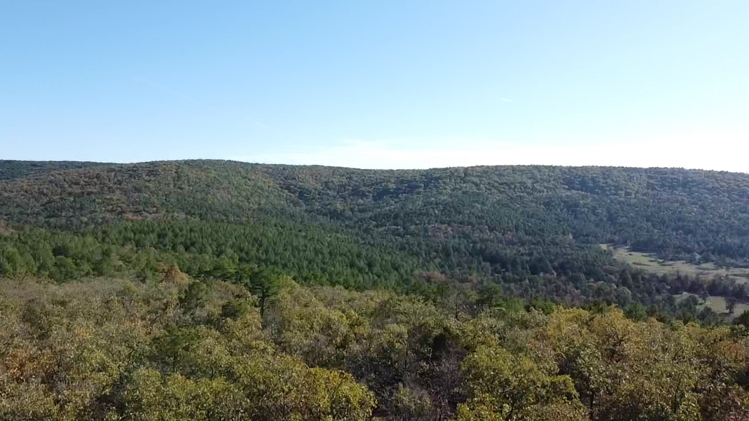 Land For Sale Adjoining Ouachita National Forest