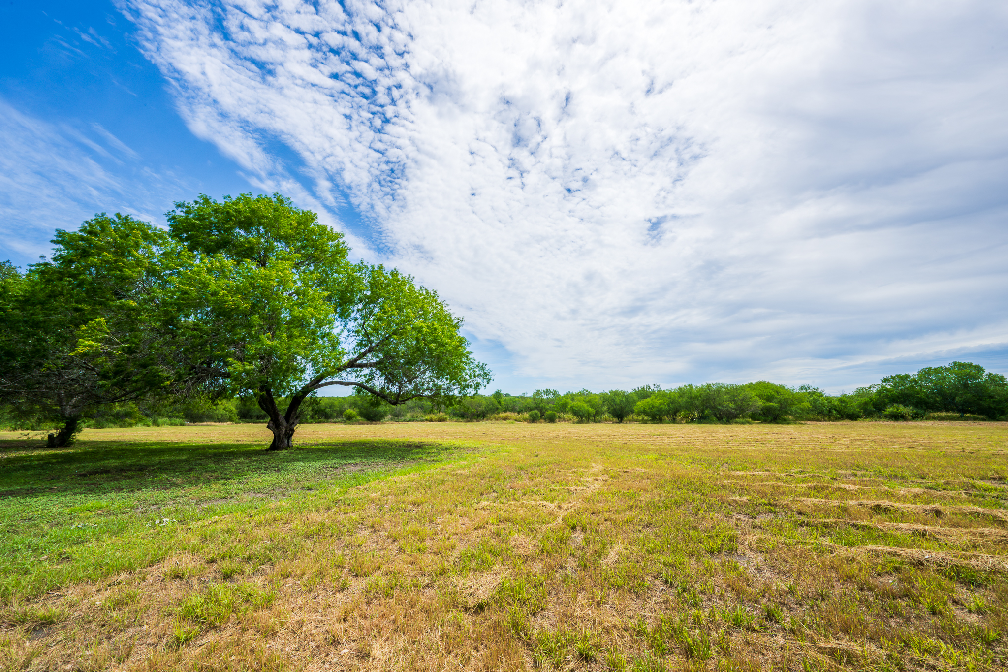 Country Home With Live Oak Trees On 10 Acres In Swinney Switch