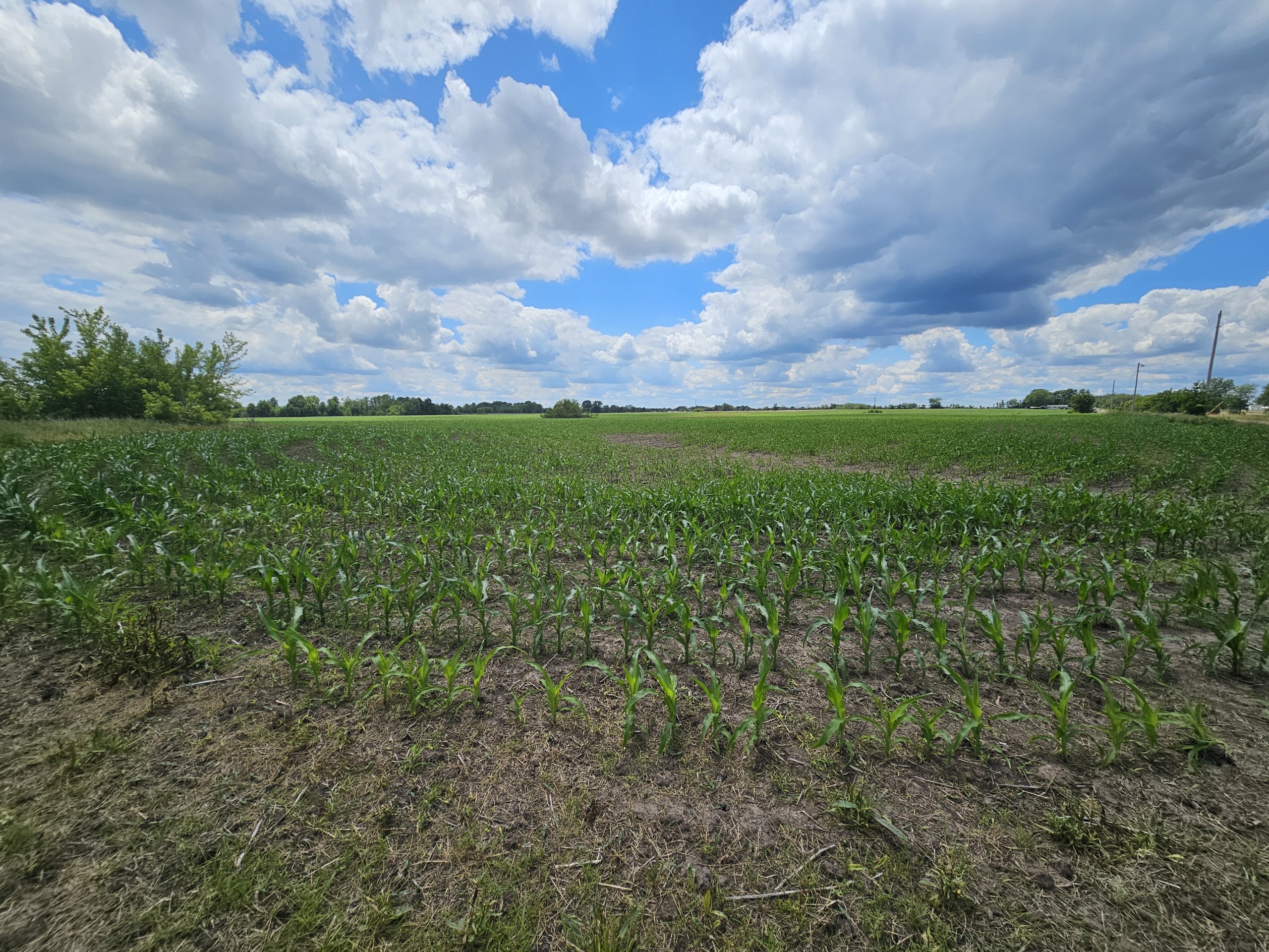 Great farming farm with additional recreational opportunities.