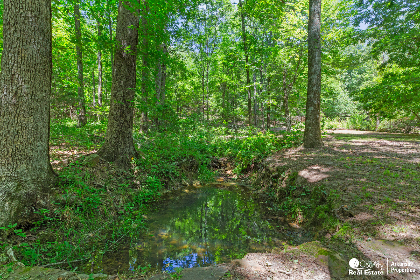 Nearly 100 wooded acres with panoramic mountain views, privacy!