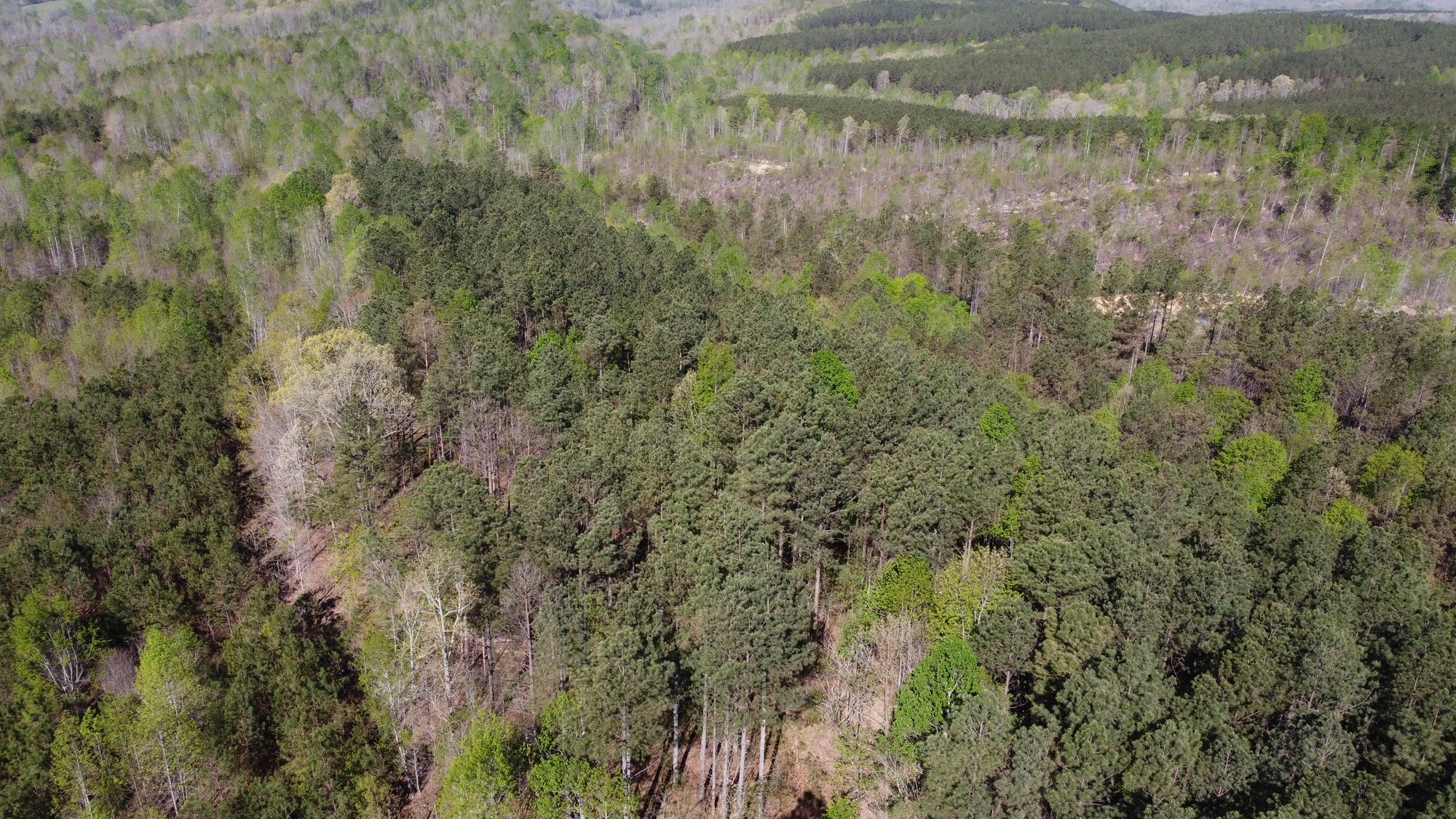 For Sale 49.5 Ac Self Sufficient Prepper Land Timber Cabin Solar