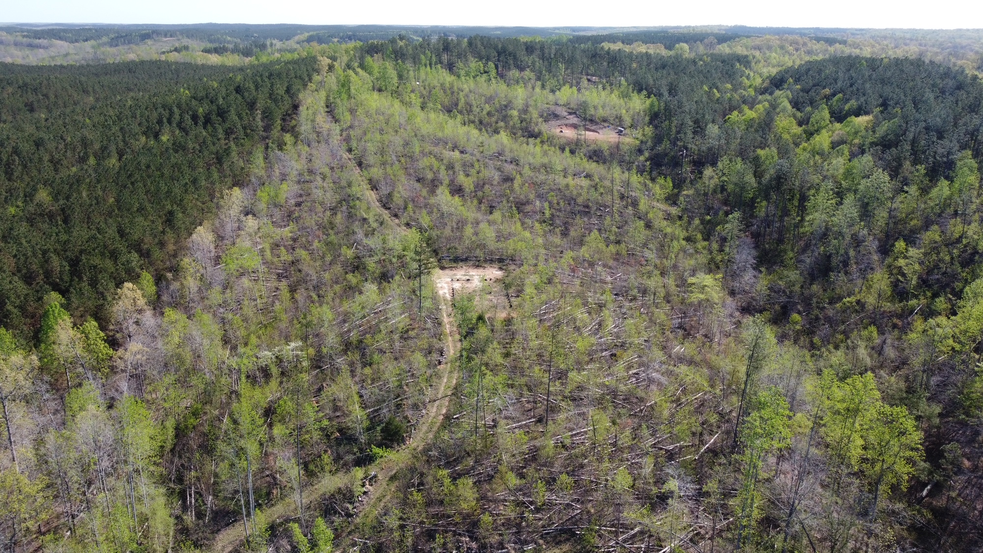 For Sale 49.5 Ac Self Sufficient Prepper Land Timber Cabin Solar