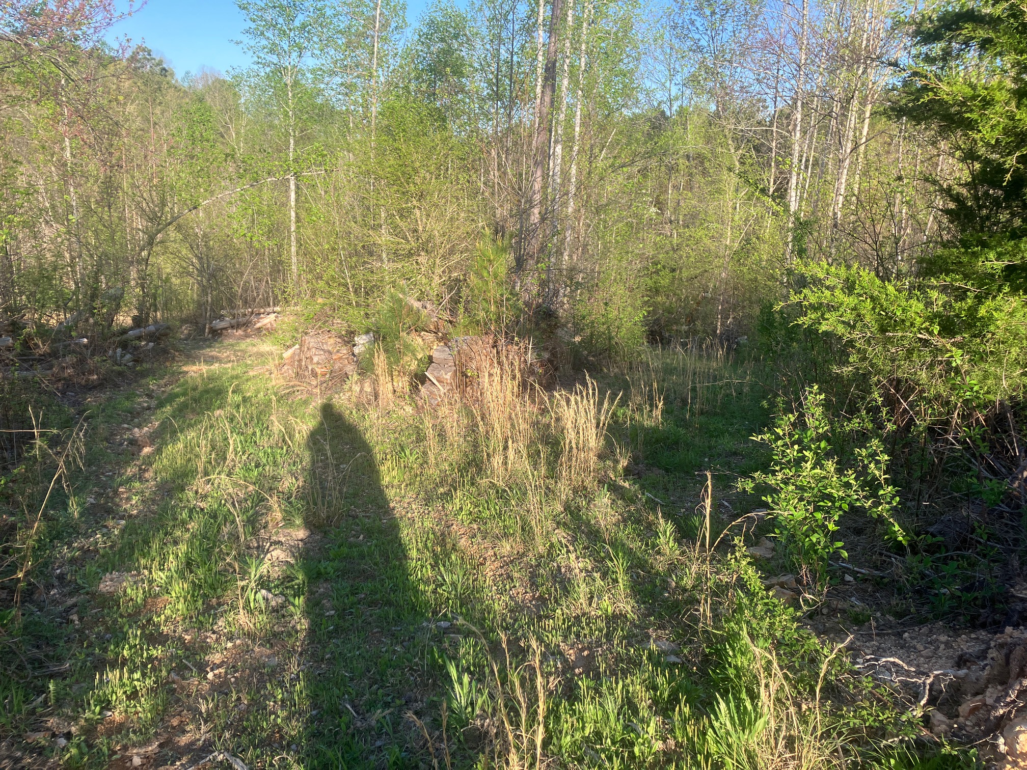 For Sale 49.5 Ac Self Sufficient Prepper Land Timber Cabin Solar