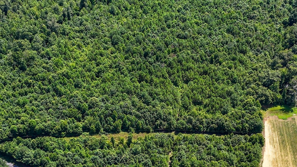 Build Your Dream Home on This Wooded Retreat in Rural Virginia