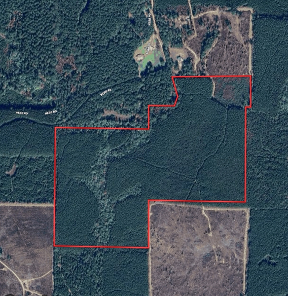 100± Acres of Timber & Hunting Land | Union Parish, LA