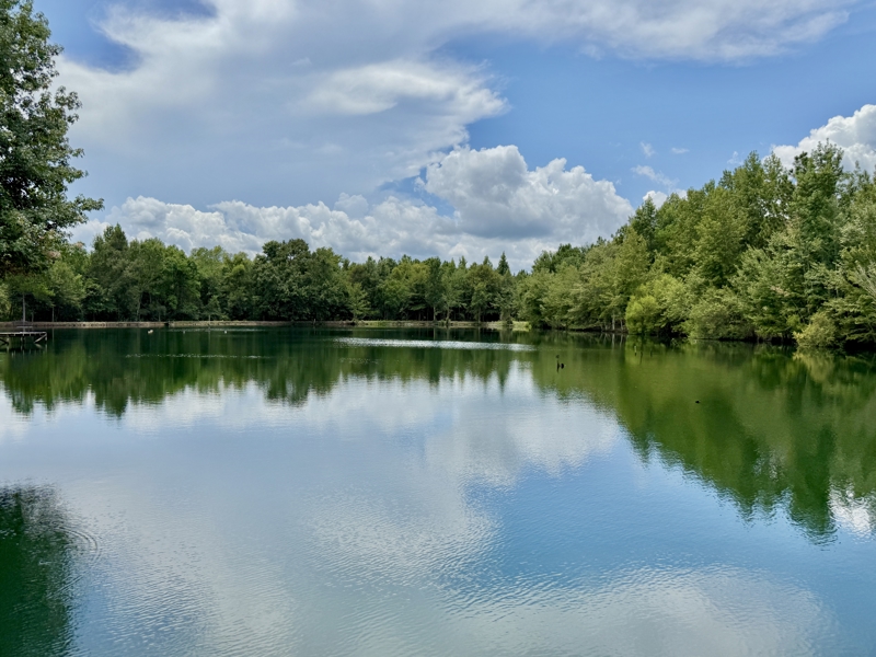 116 Acres You Must See To Appreciate In Slocomb, Alabama