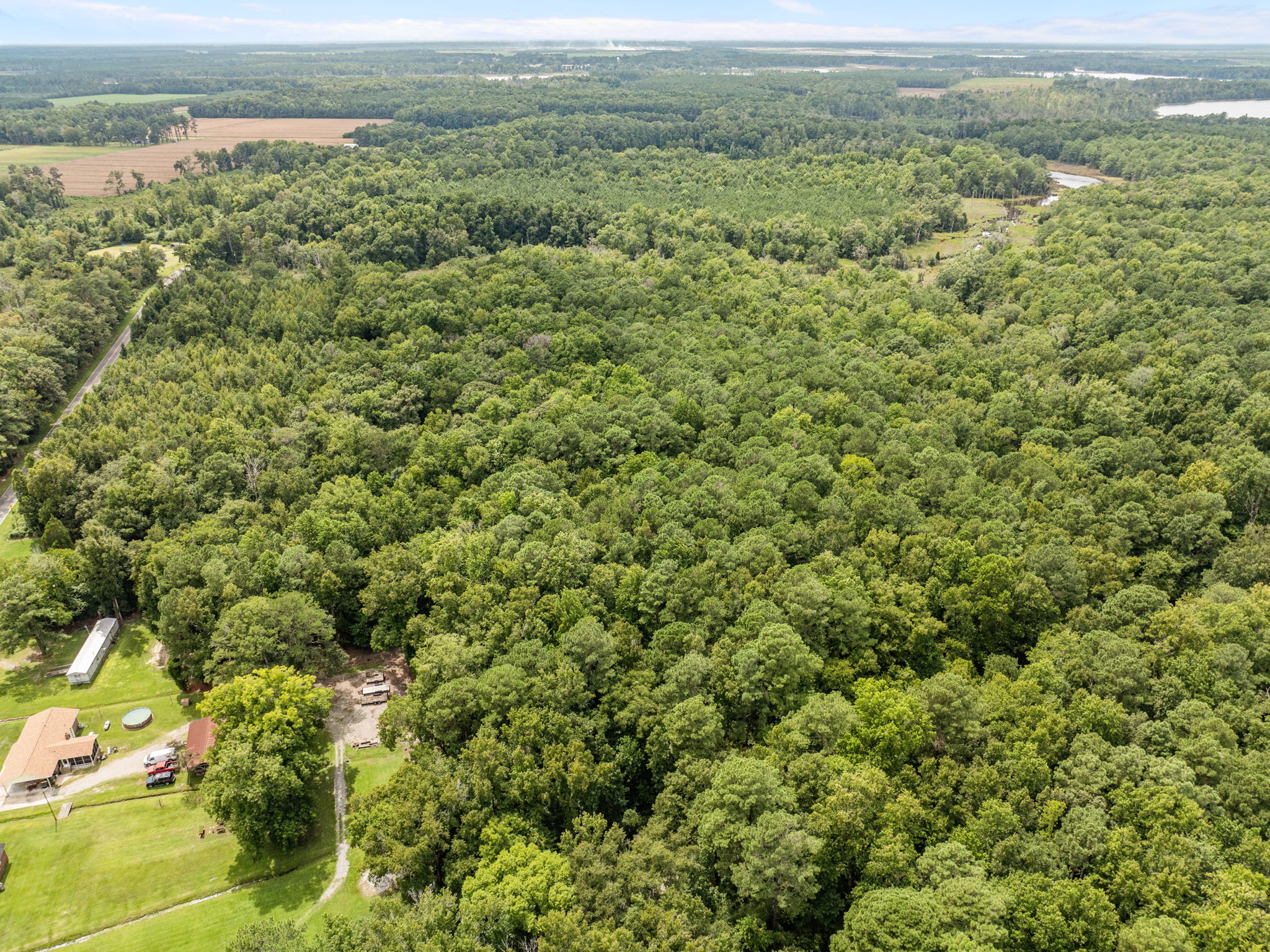 17 Acres of Hunting Land with Timber for Sale in Aurora, NC