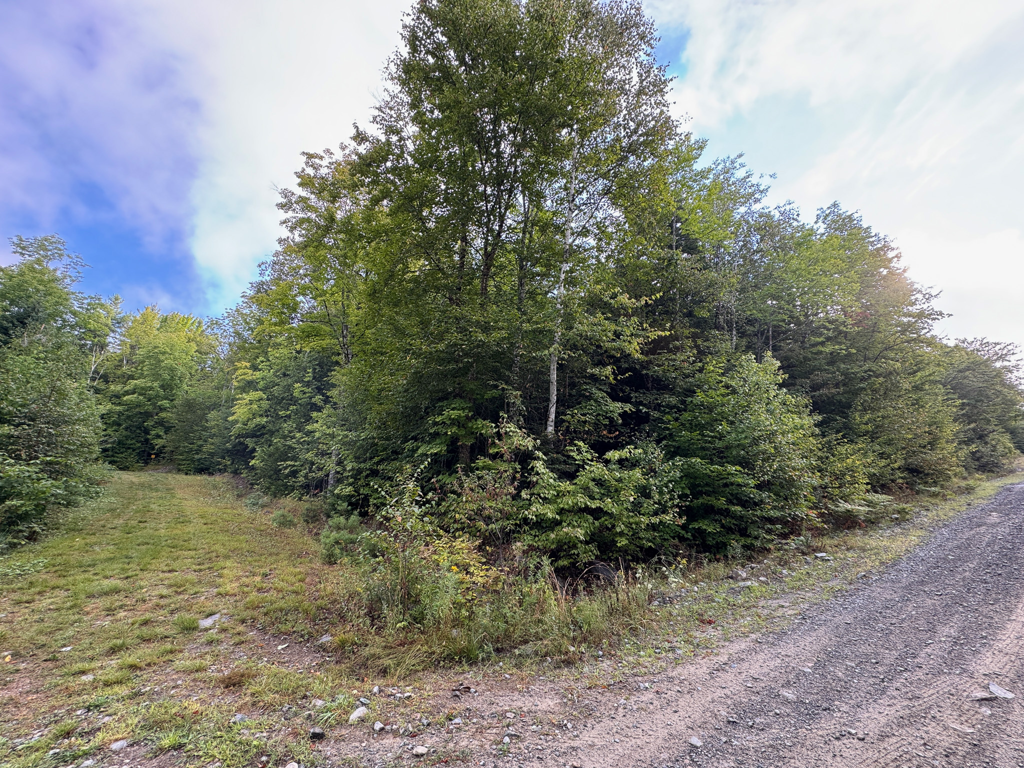 20 Acres with Katahdin Views – Springfield, Maine