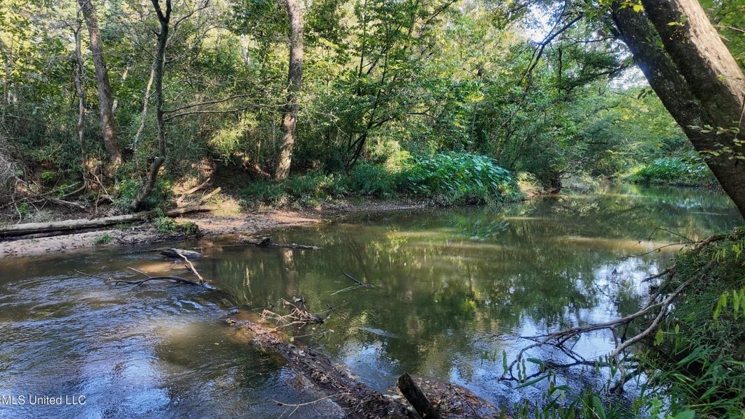 30 Acre Amite River Hunting Tract Amite County MS