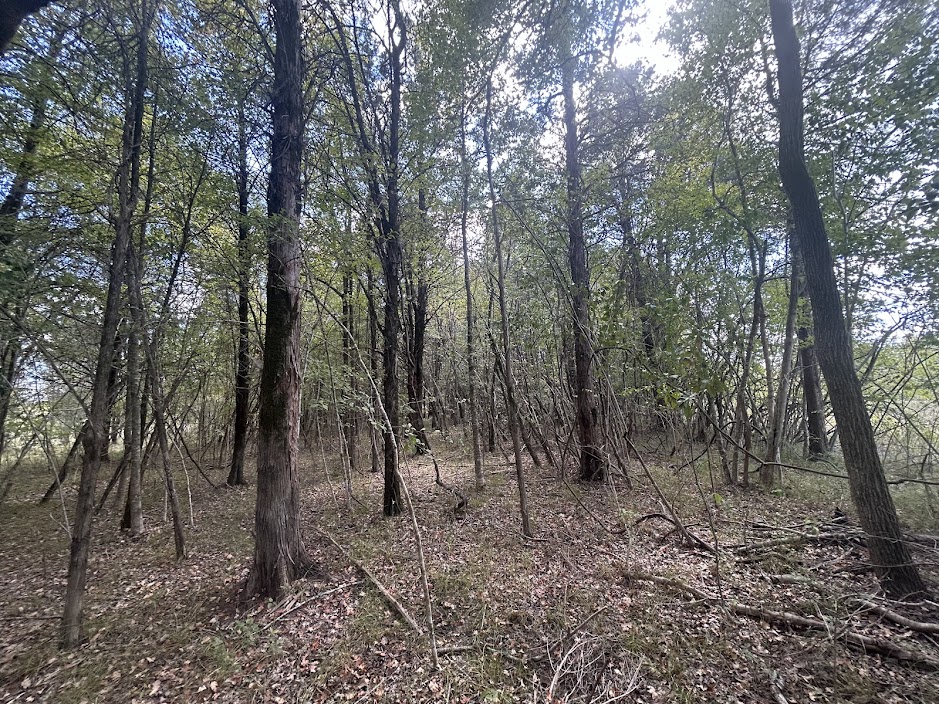 Crown Ridge Residential Development Land For Sale in Selma, AL