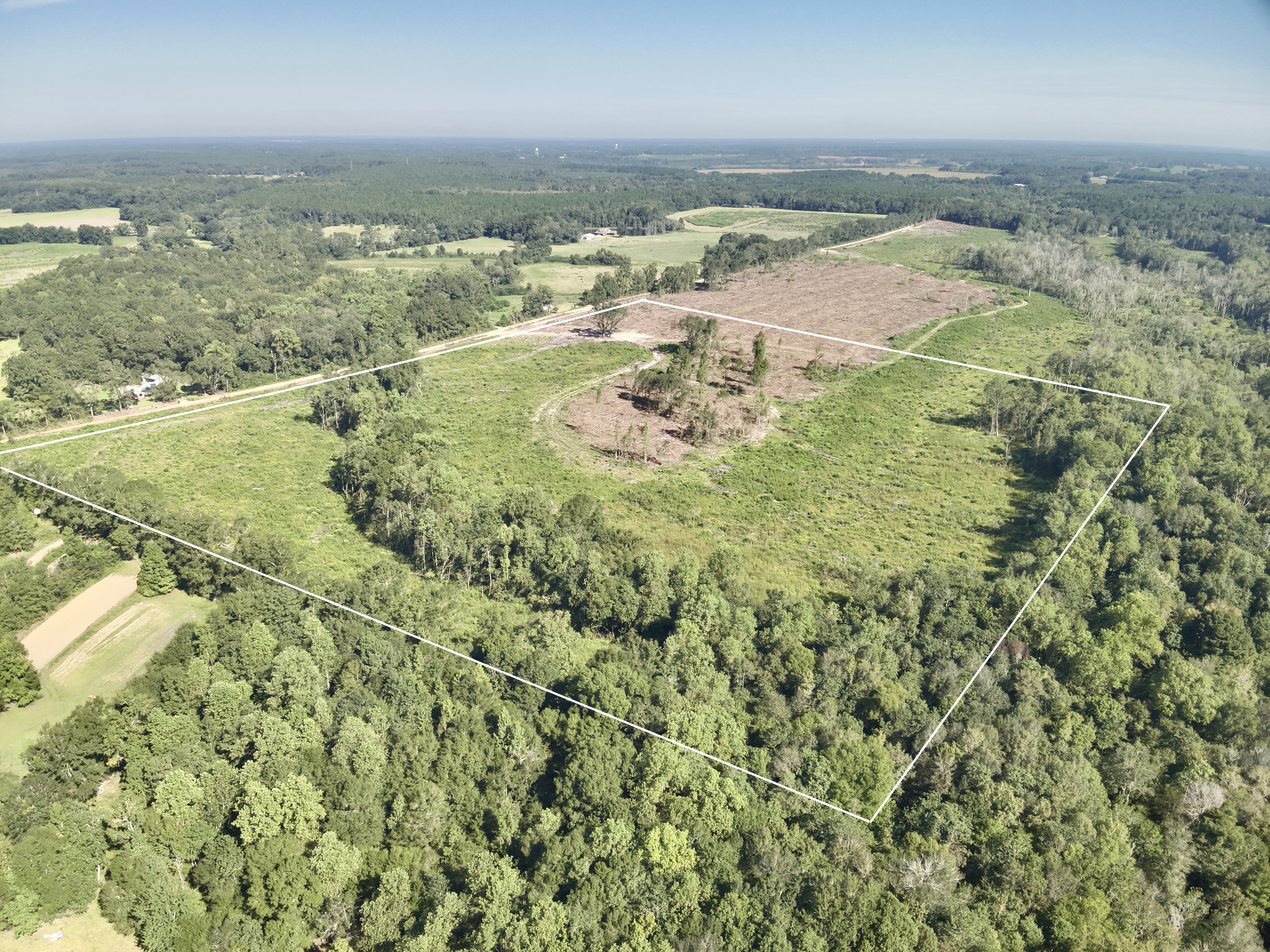 65 +/- Tindil Creek Road, Slocomb, AL for sale