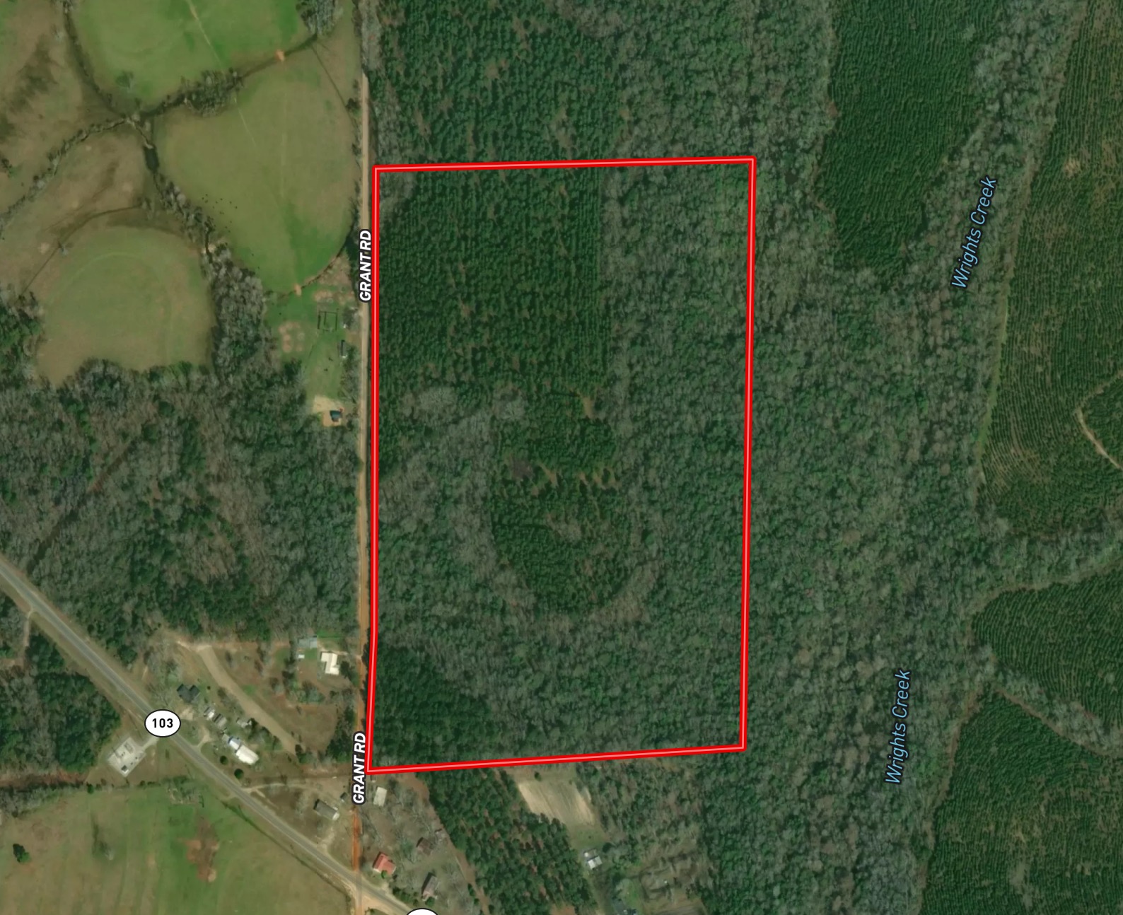65 +/- Tindil Creek Road, Slocomb, AL for sale