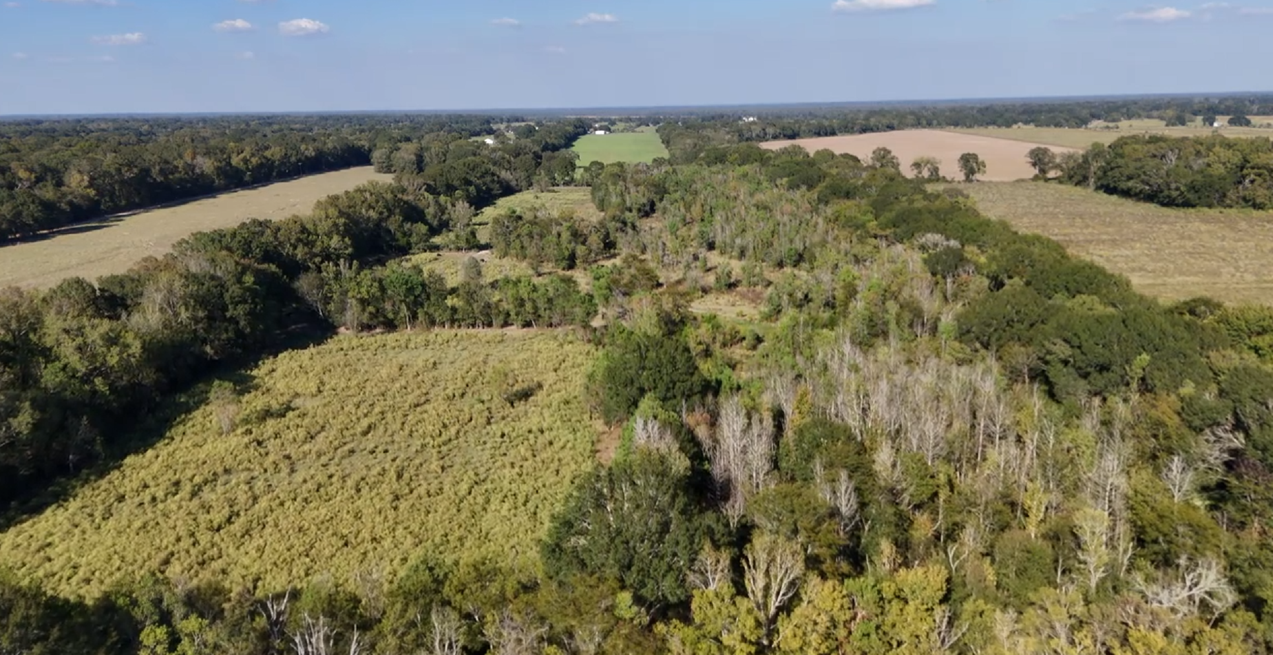 Grand Prairie 60 Acres For Sale