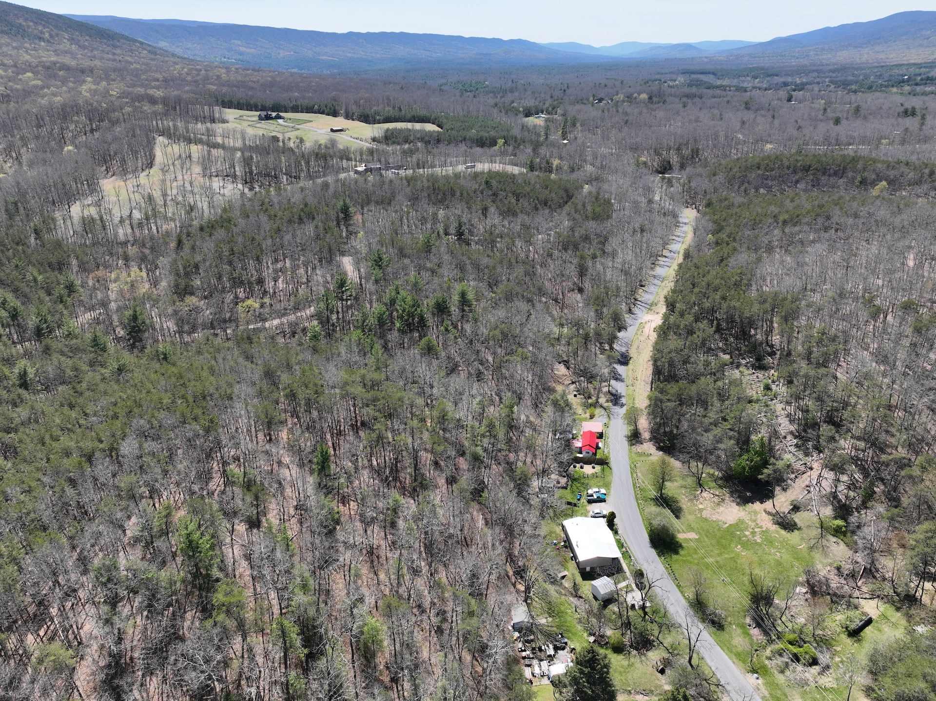 National Forest Bordering Getaway: Your Adventure Basecamp