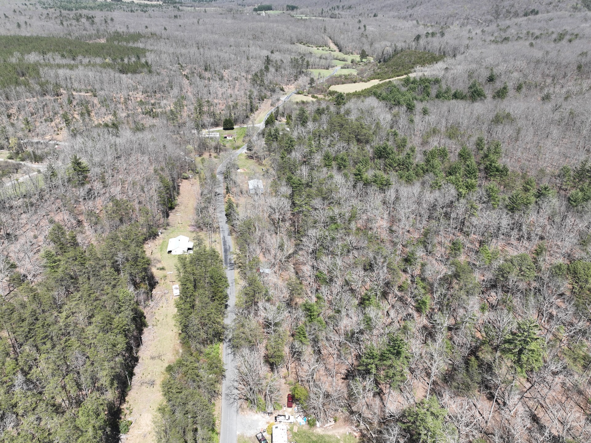 National Forest Bordering Getaway: Your Adventure Basecamp