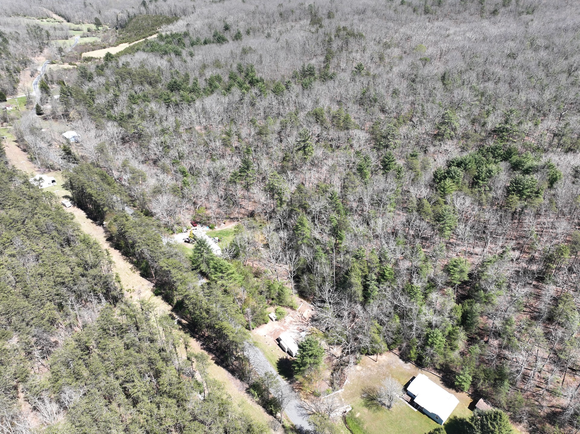 National Forest Bordering Getaway: Your Adventure Basecamp