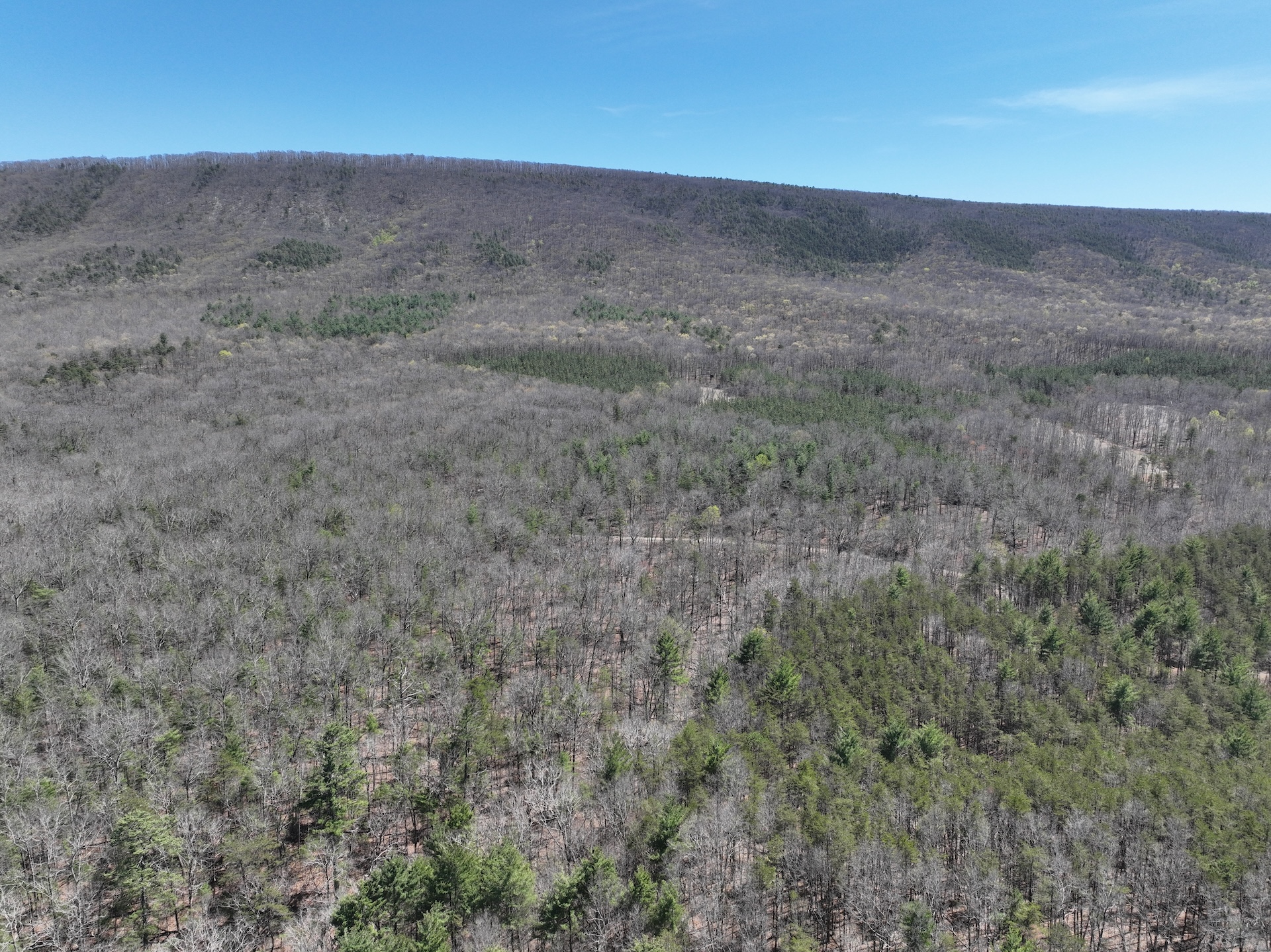 National Forest Bordering Getaway: Your Adventure Basecamp
