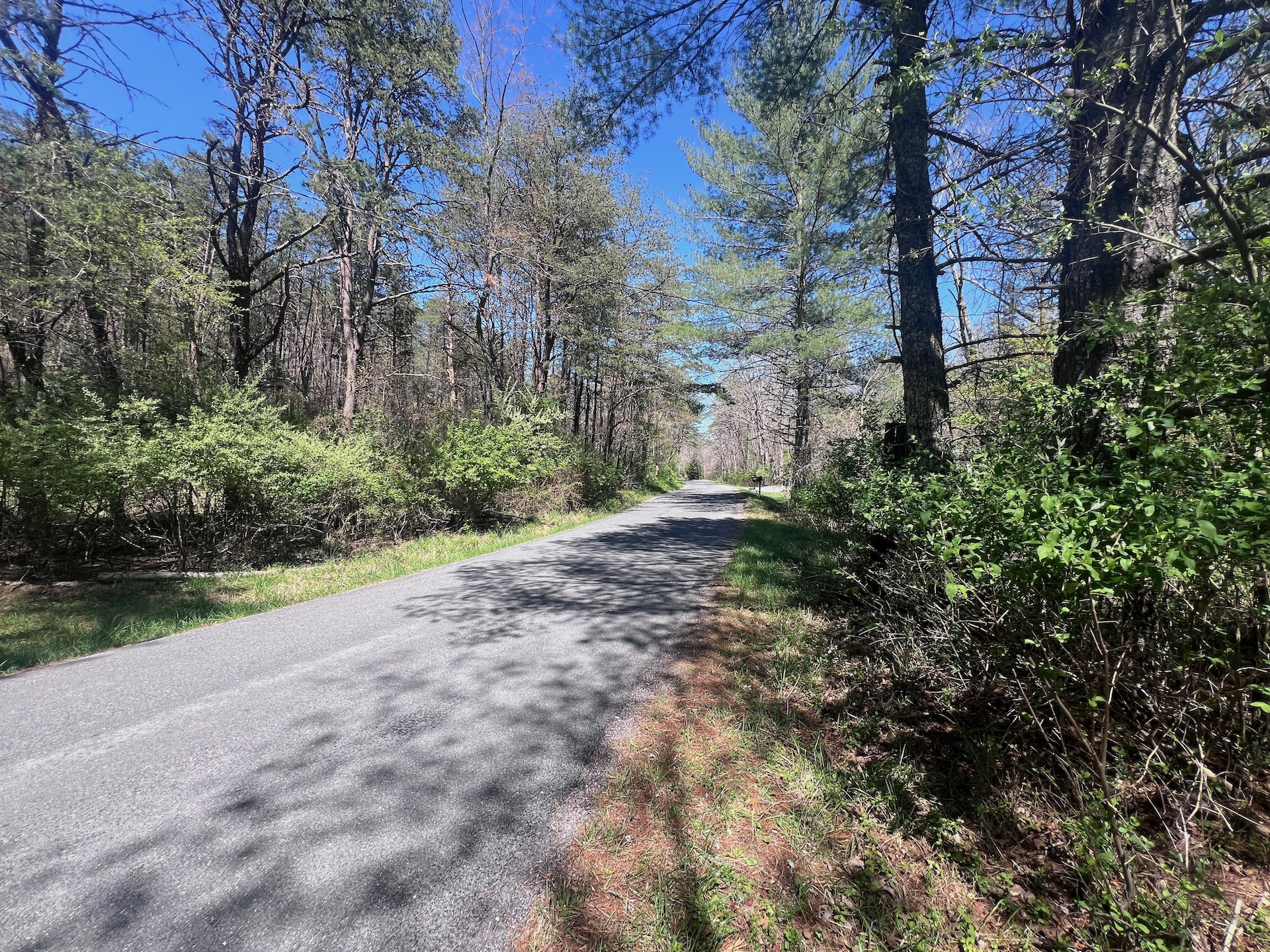 National Forest Bordering Getaway: Your Adventure Basecamp