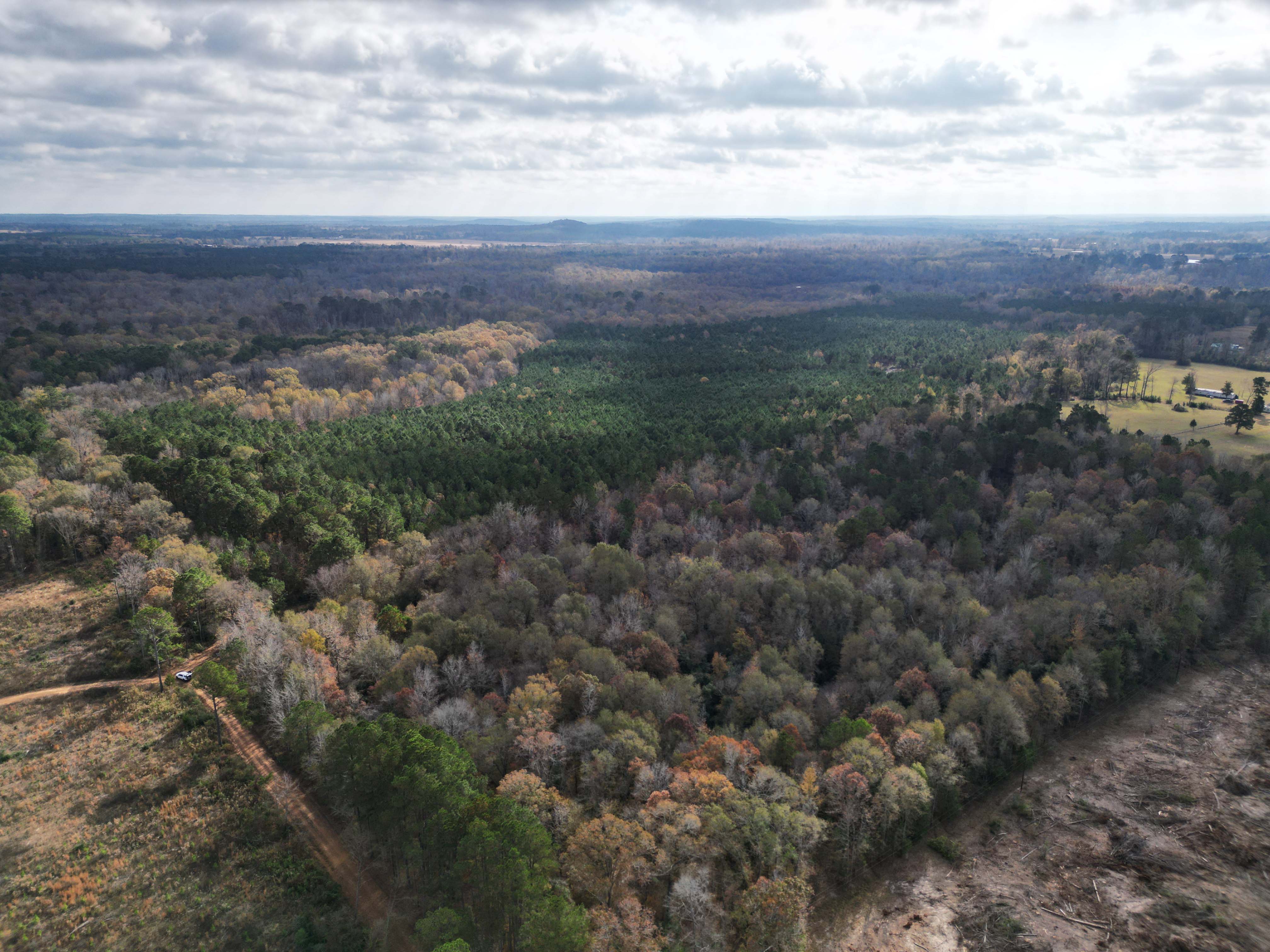 201.66± Acres of Timberland & Wildlife Habitat | Cass County