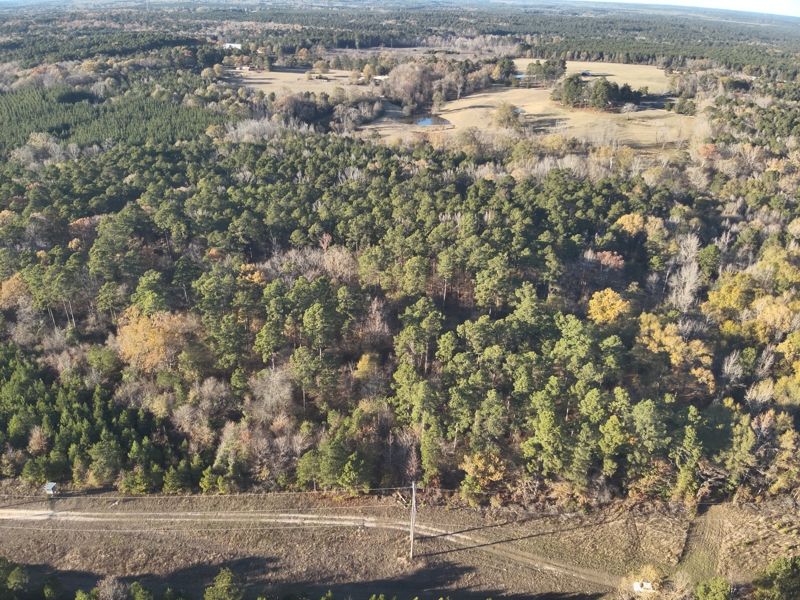 Timberland Investmentproperty For Sale!