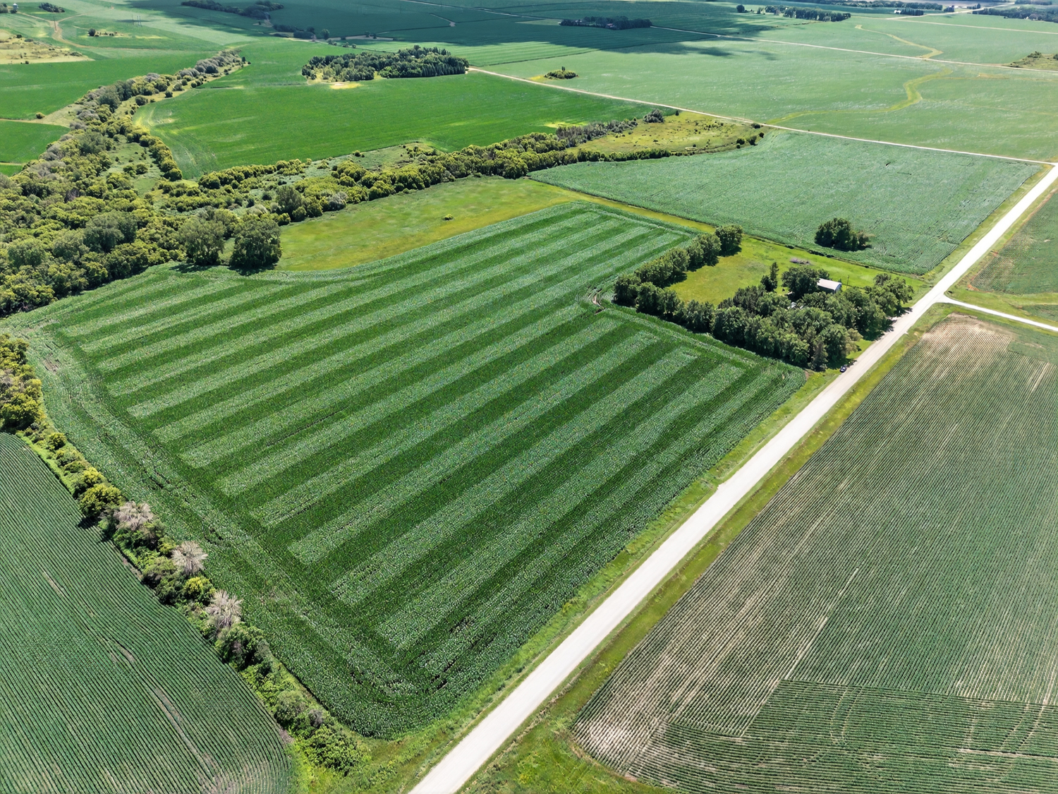 Tillable Acreage For Sale in Southeastern Minnesota