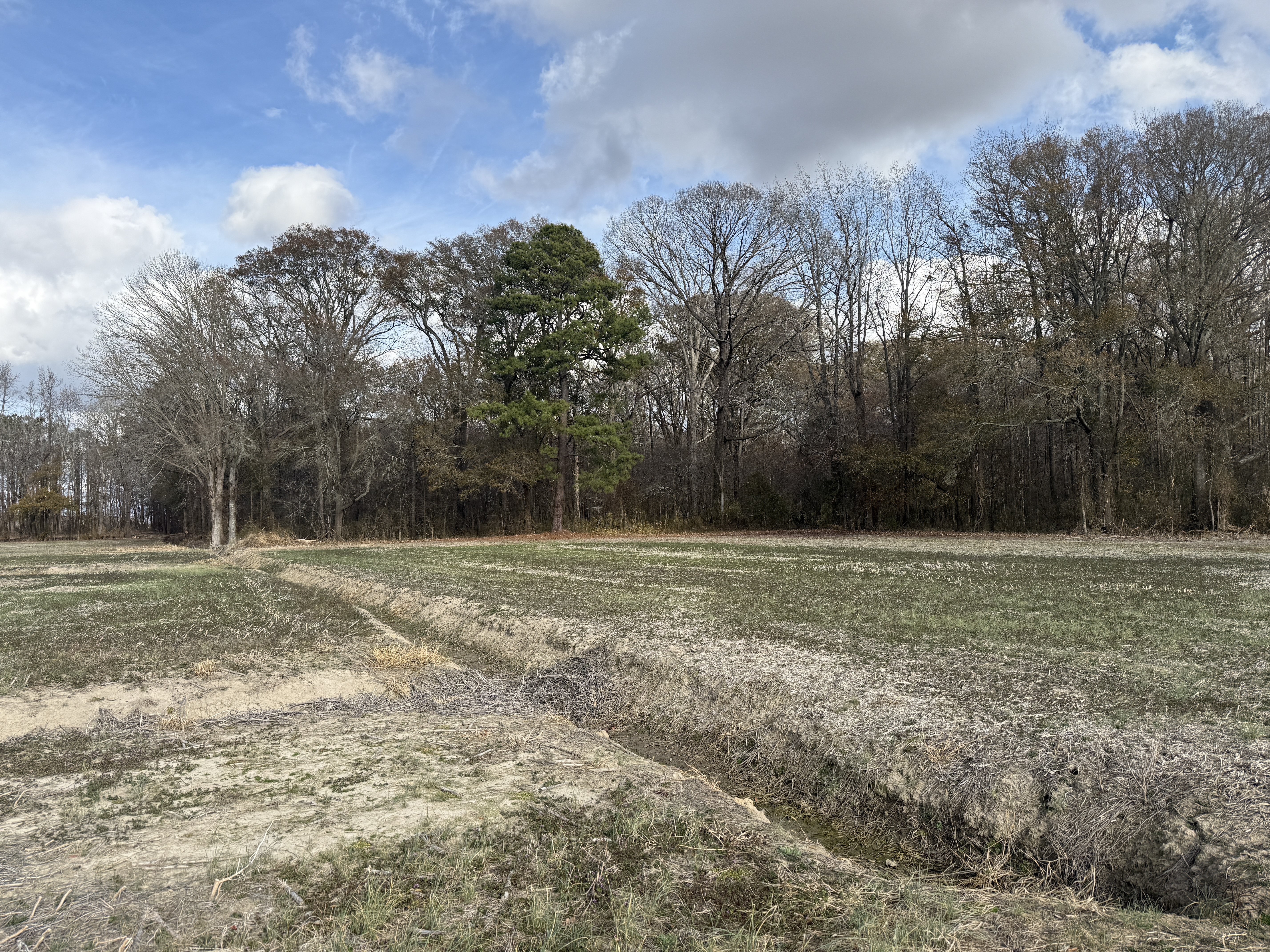 28-Acre Farm & Timberland Hunting Tract with FSA Acres