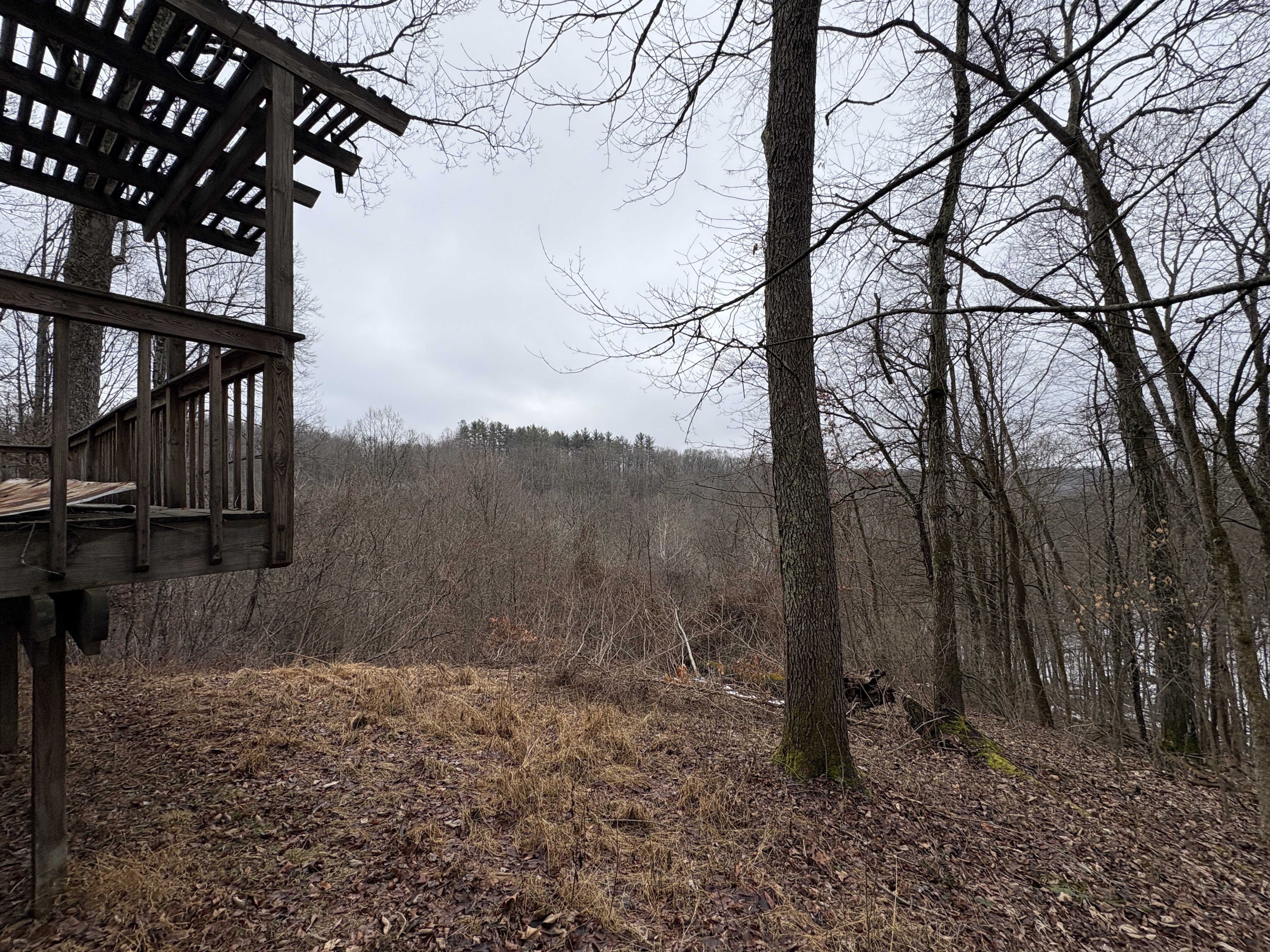 Woodsfield OH 131 +/- Acres with cabin