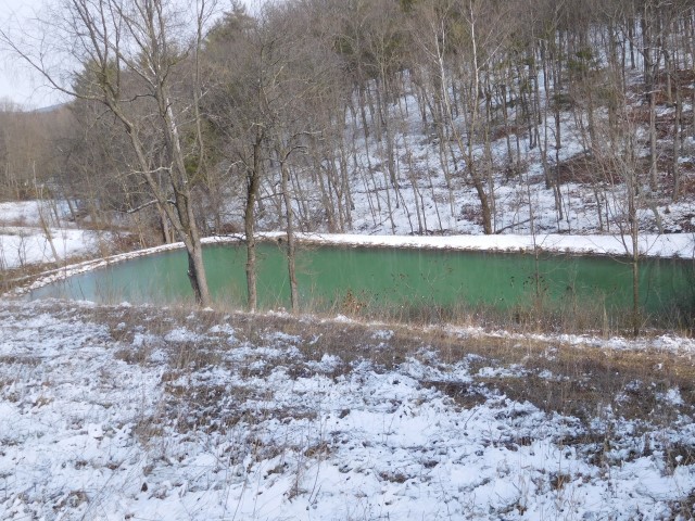 78 Acre Farm With Grand 9,000 Square Foot Home!