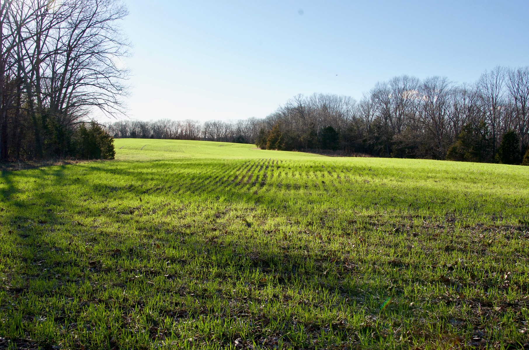 Warren County Missouri Recreational Farm with Lodge